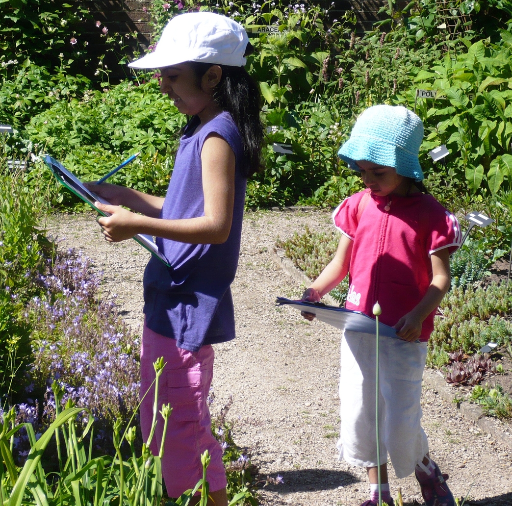 Wildlife Watch | Nottinghamshire Wildlife Trust Wildlife Watch | Nottinghamshire Wildlife Trust